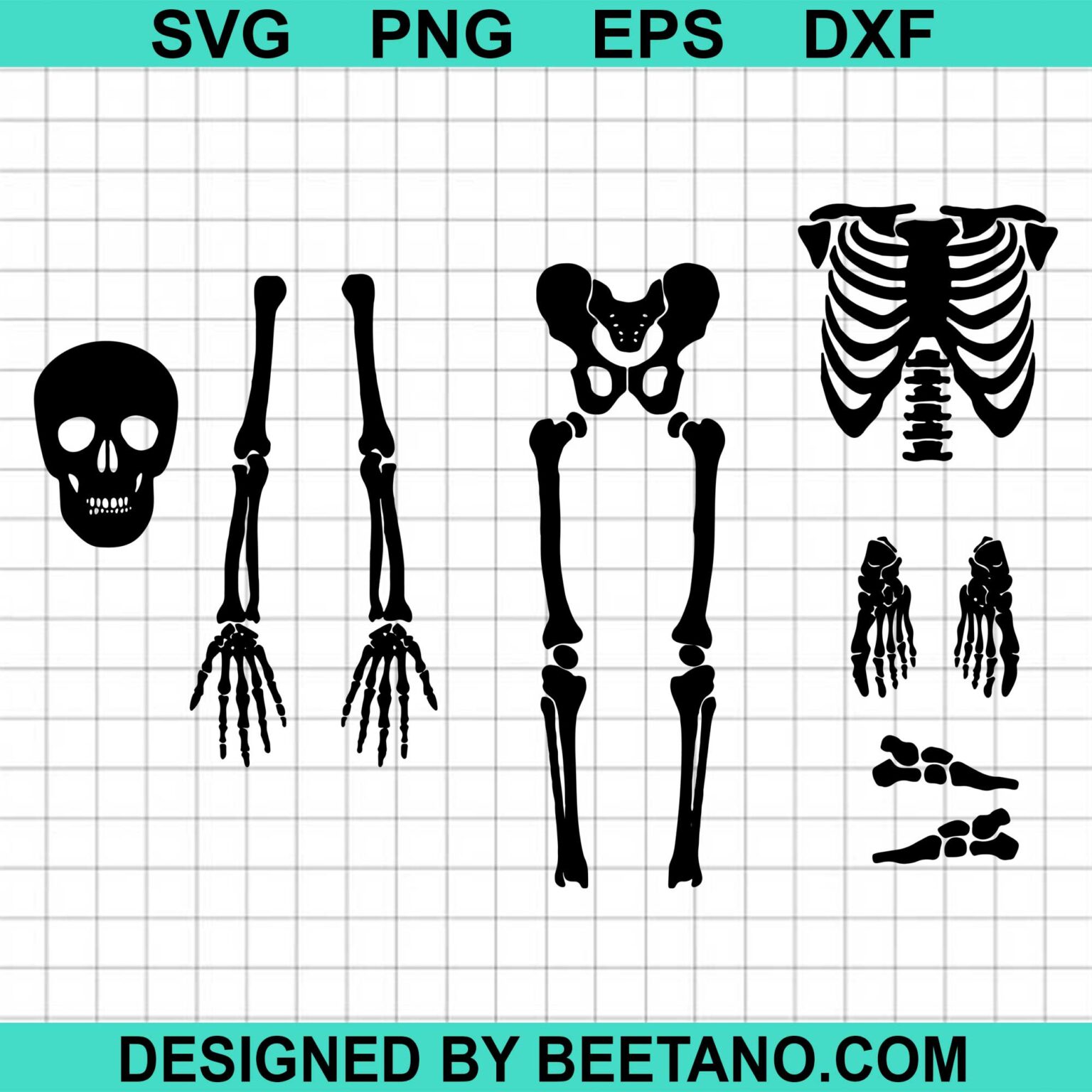 Skeleton Hands Svg, Skeleton SVG cut file for cricut silhouette machine ...