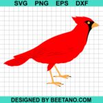 Cardinals svg, Cardinals bird SVG cut file for cricut silhouette ...