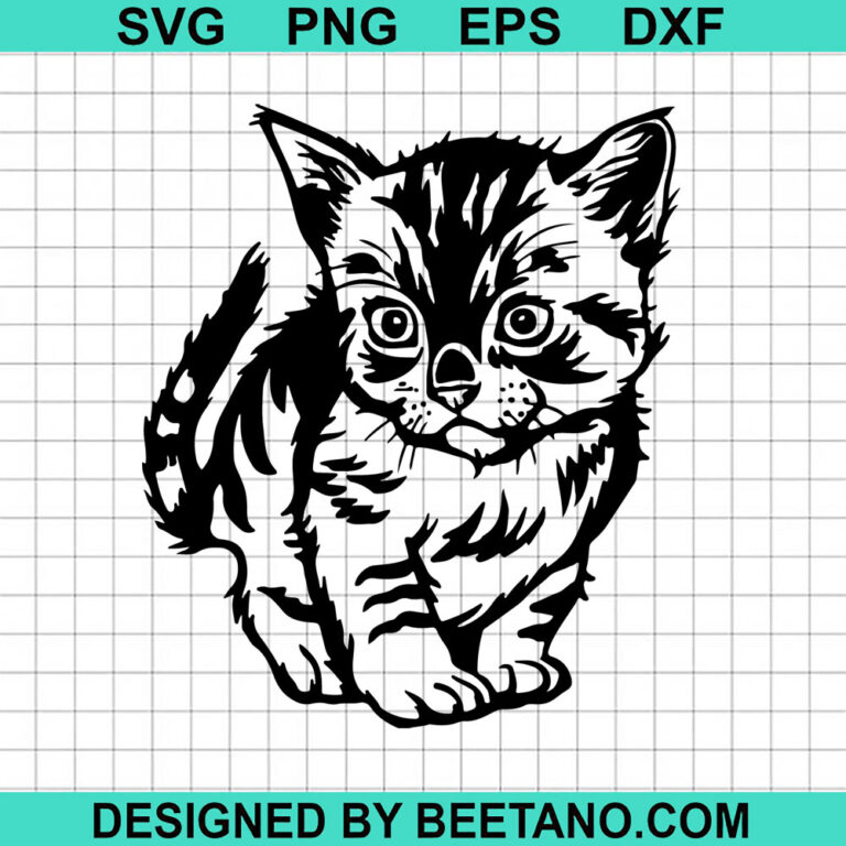 Cute Cat SVG, Cute Kitten SVG, Cat Face SVG, Cat Lover SVG